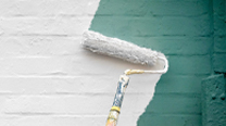 RotaCota Rolana Medium Texture Roller Cover 230mm Inspirations Paint